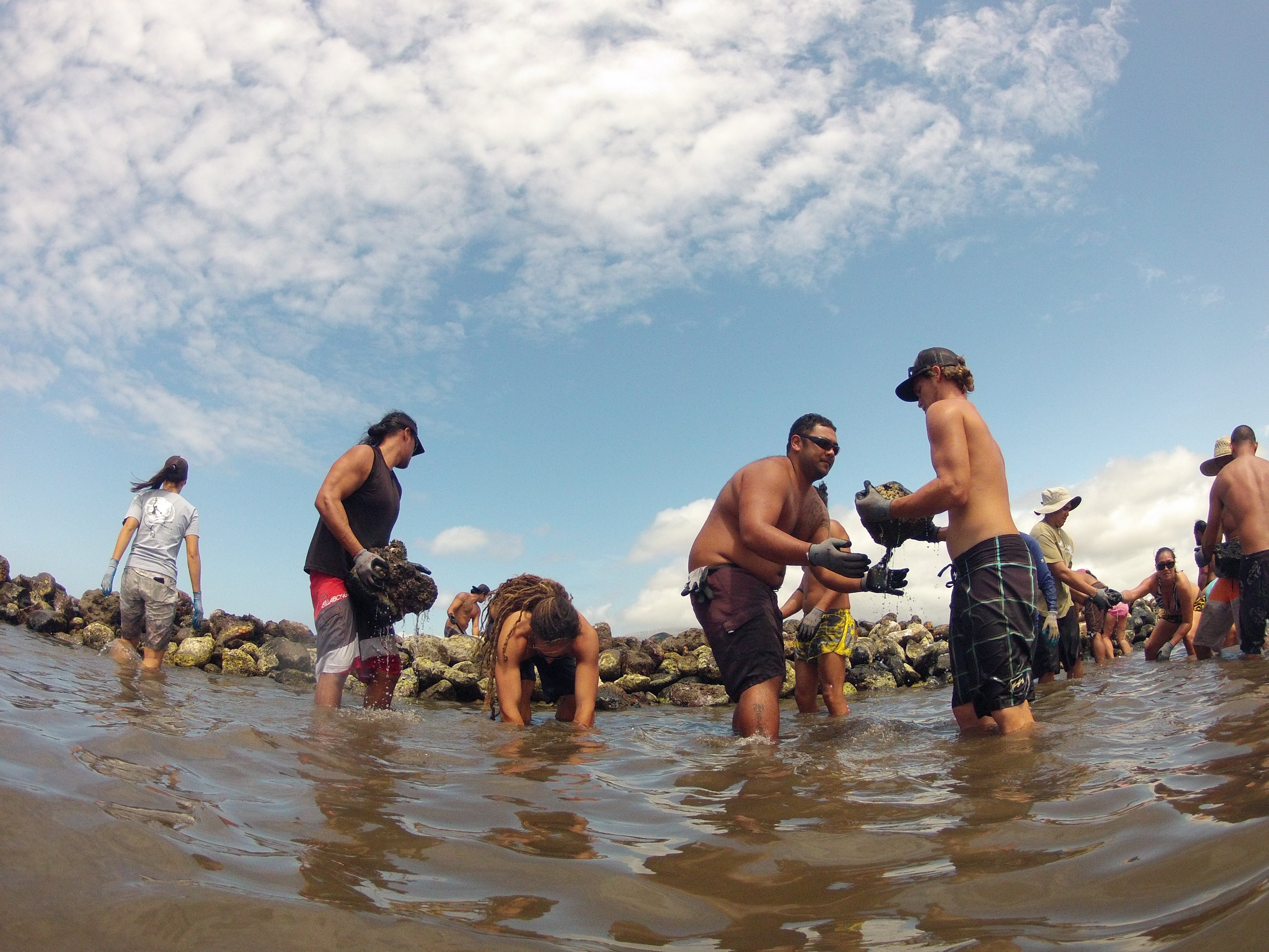Citizen Stewardship: Mobilizing to Protect the Ocean and Its Resources ...