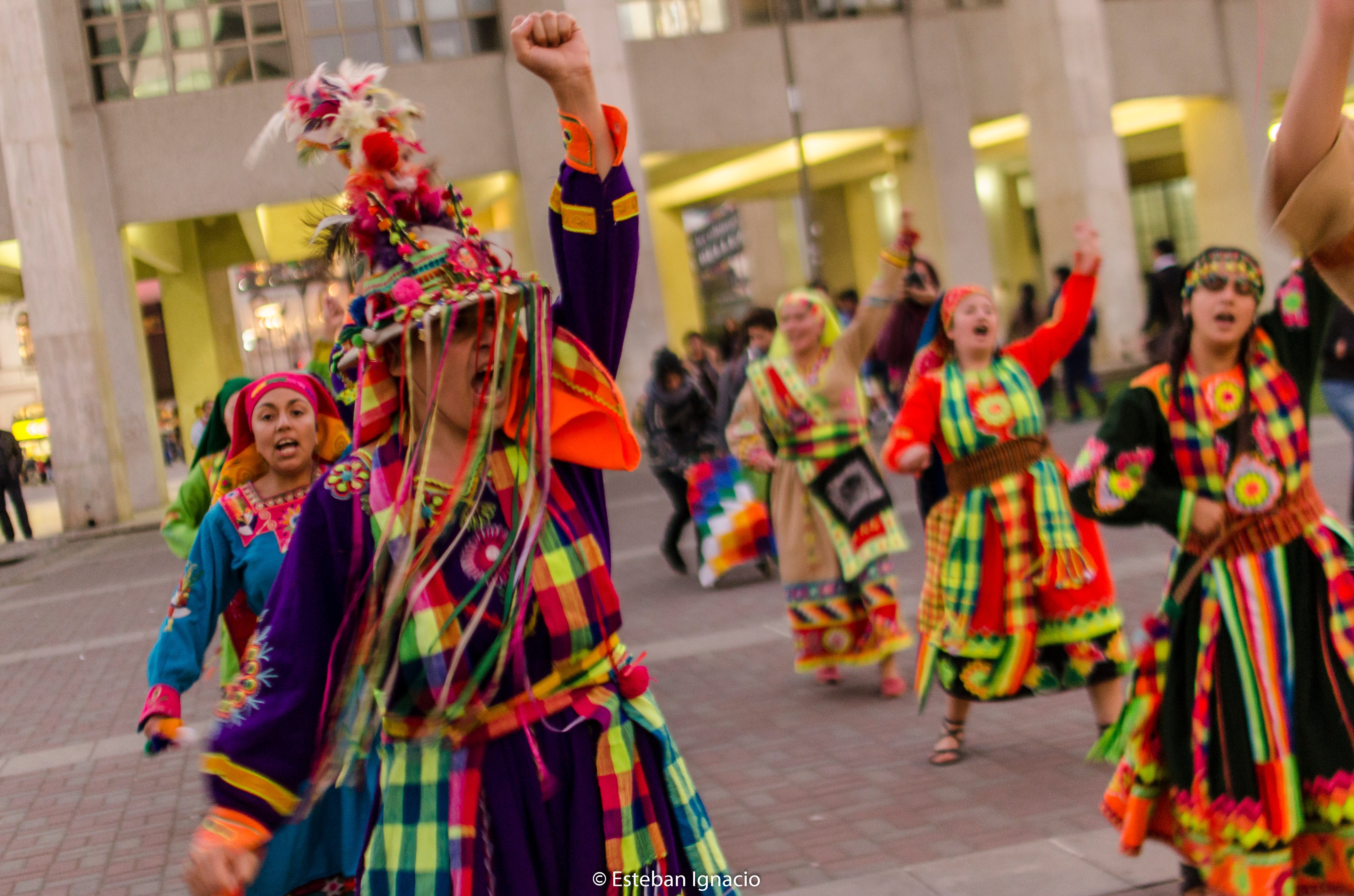 Cultural Survival Advocates for Indigenous Rights in Chile via the UN's ...