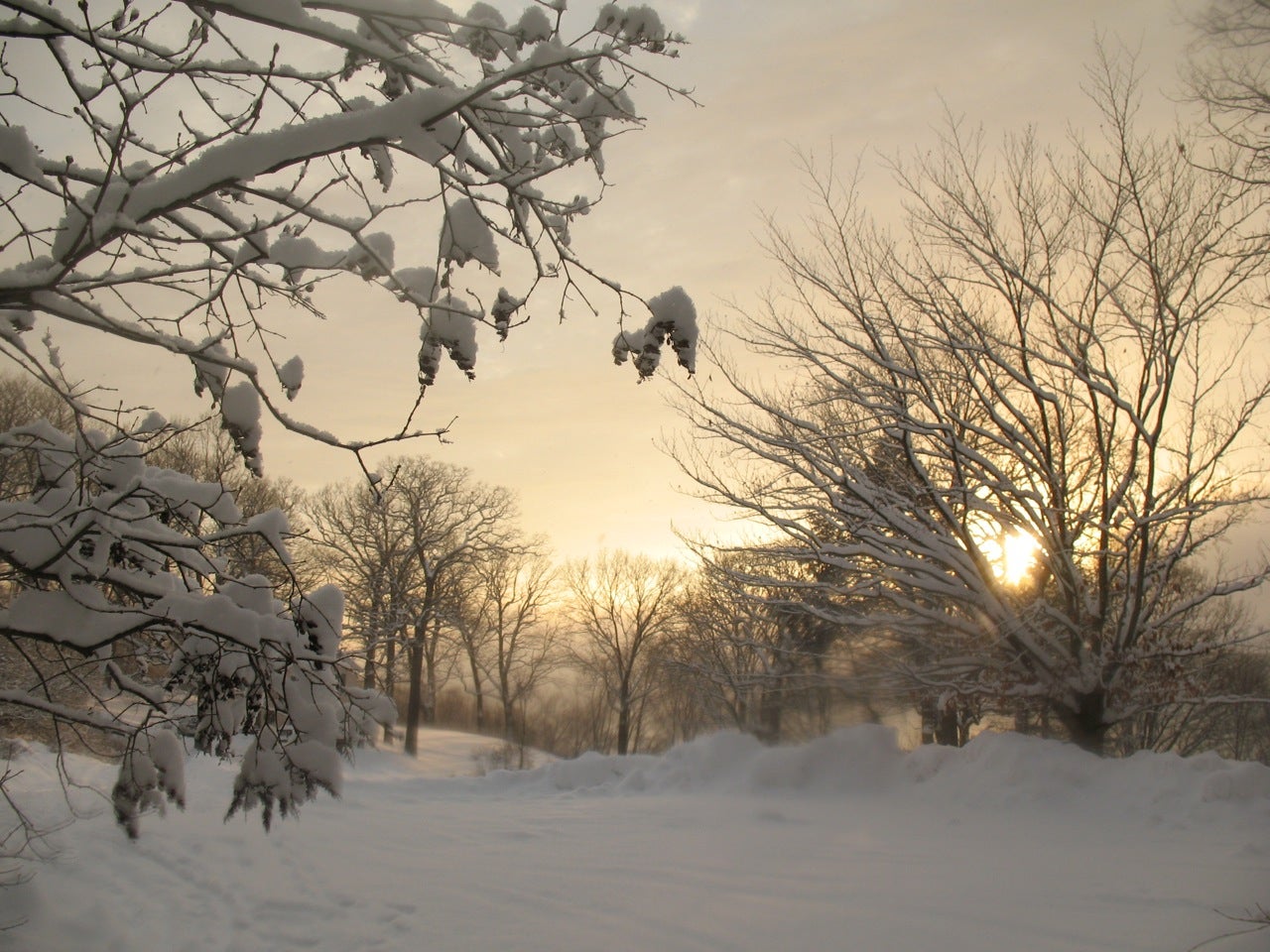 Tradiciones Del Solsticio De Invierno U_academia On X: "☀El