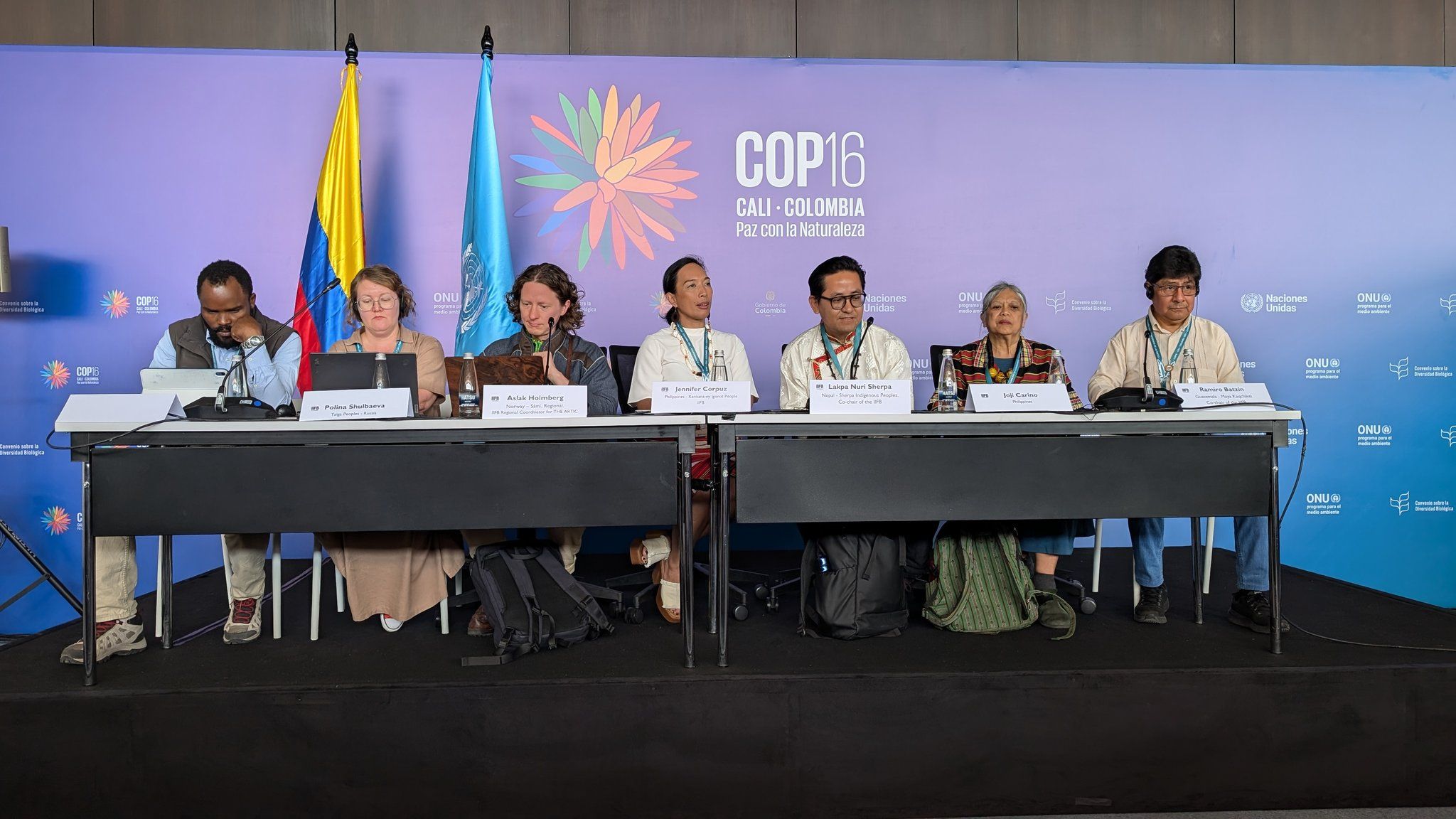 IIFB Opening Statement at COP16 | Cultural Survival