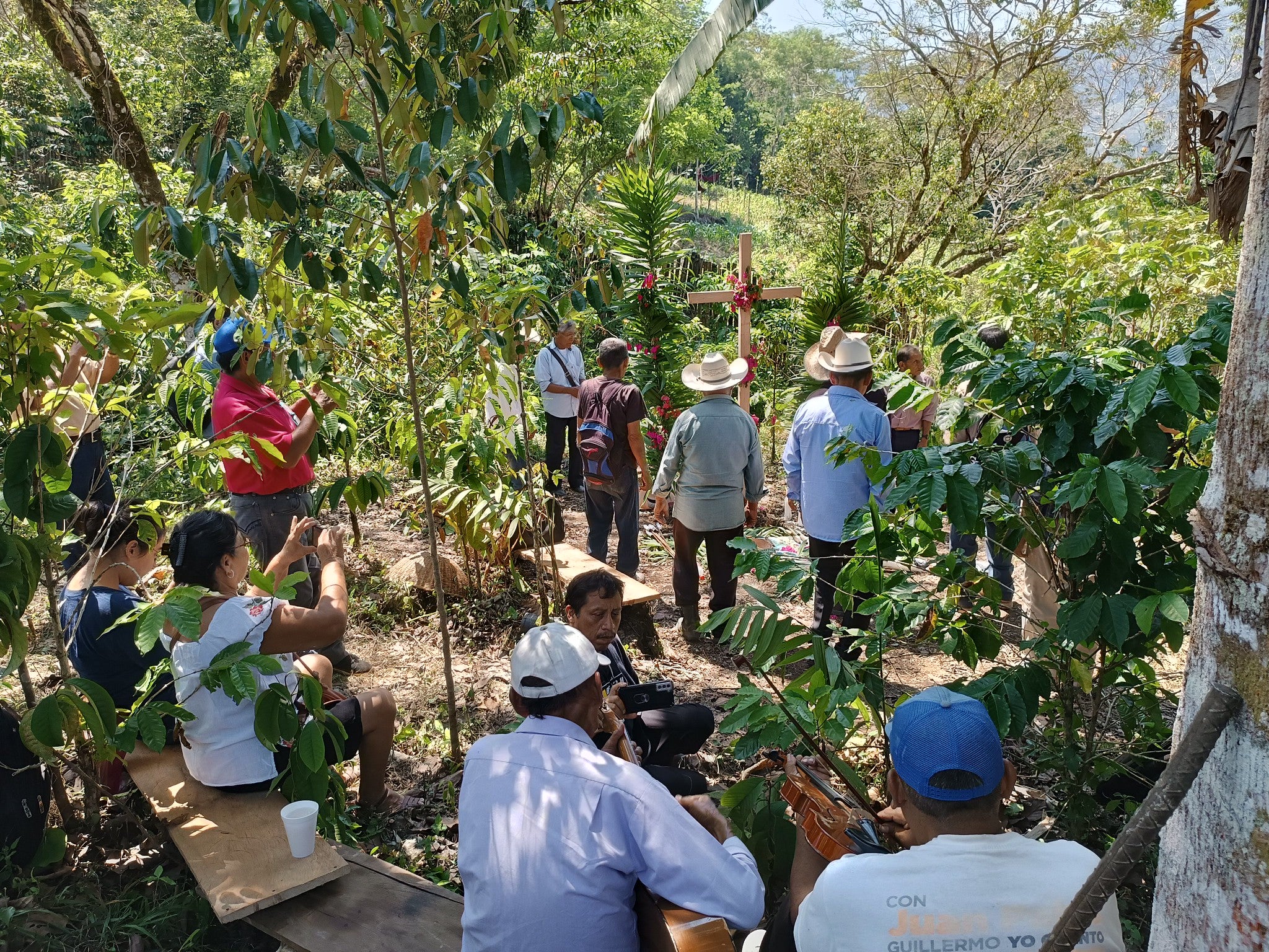 Cultural Survival and Partners Submit Report on Indigenous Peoples ...