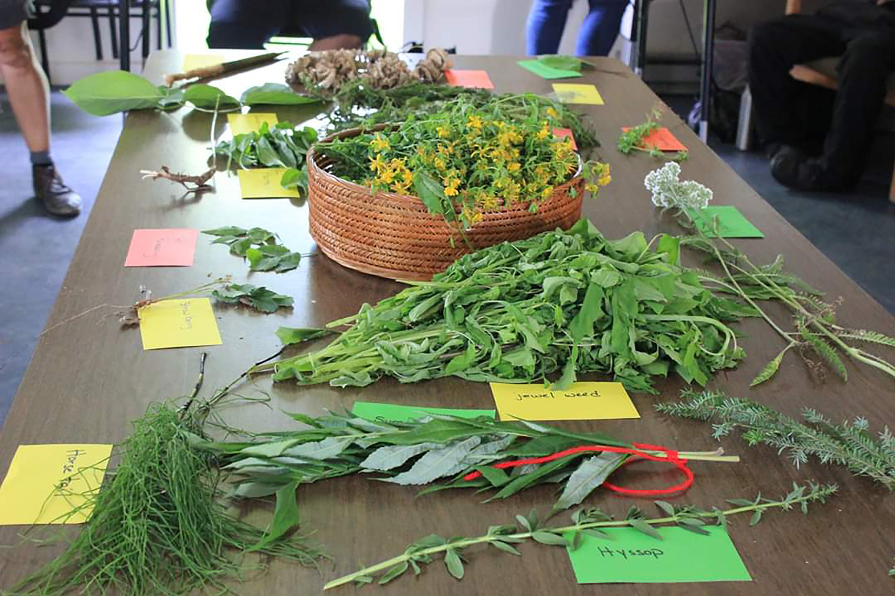 Restoring Balance with the Earth: Eastern Woodlands Rematriation ...