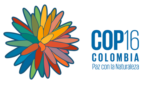 Looking Ahead: Indigenous Peoples’ Rights at CBD COP16 in Cali ...