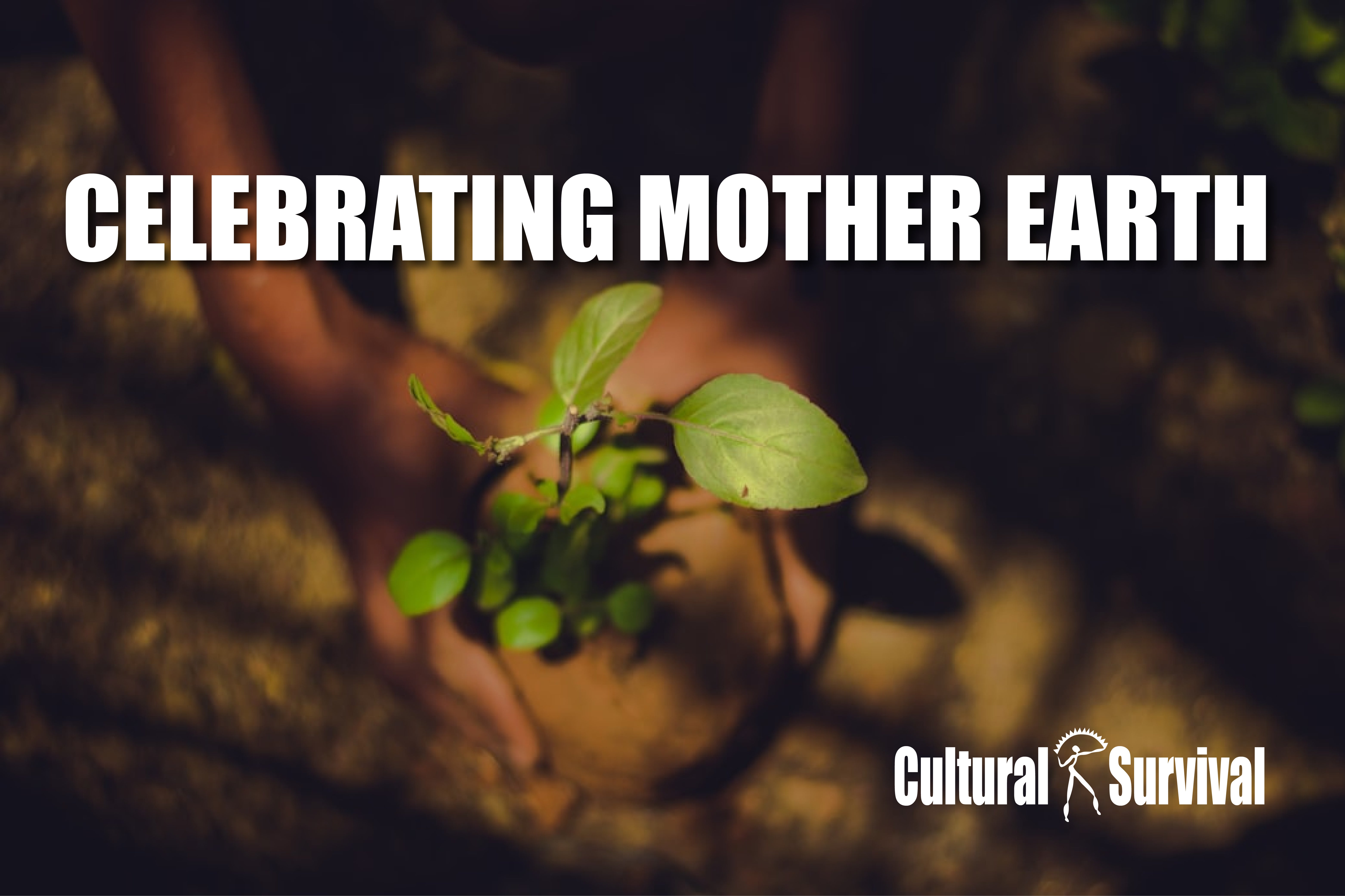 8 Things to do on Mother Earth Day! | Cultural Survival