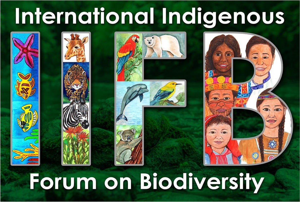 International Indigenous Forum on Biodiversity Public Statement on ...