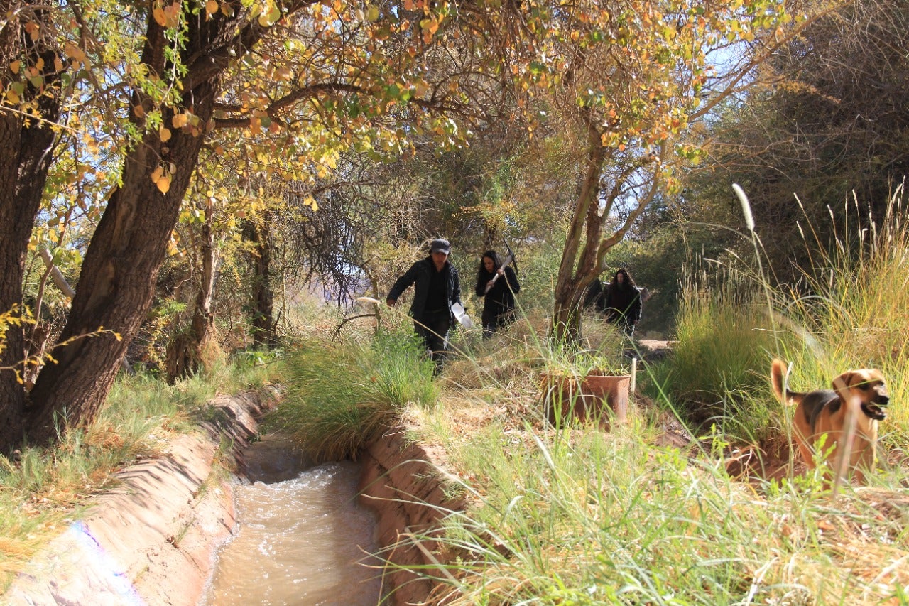 “Green” Energy is Wiping Out Our Desert Water: The Case of Atacama ...