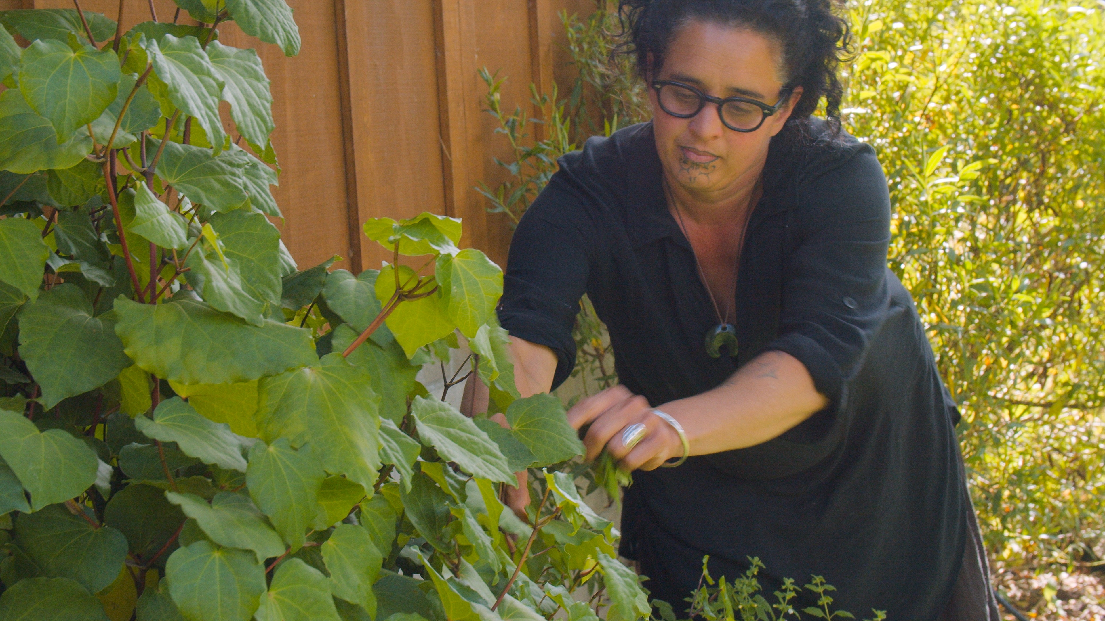 Honoring Our Soil: Hua Parakore | Cultural Survival