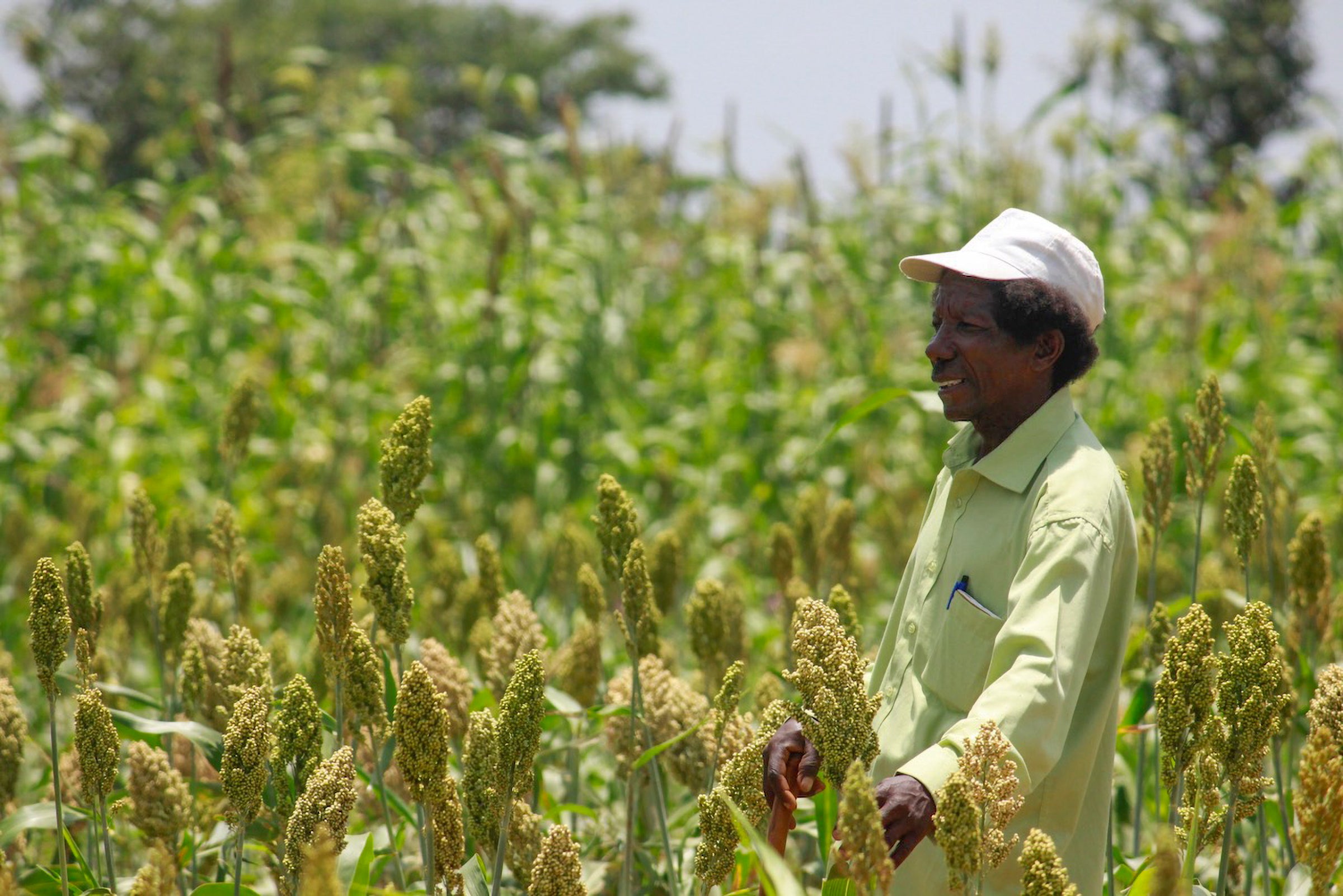 Flipping the Script: Changing the Future of Food Production in Africa ...