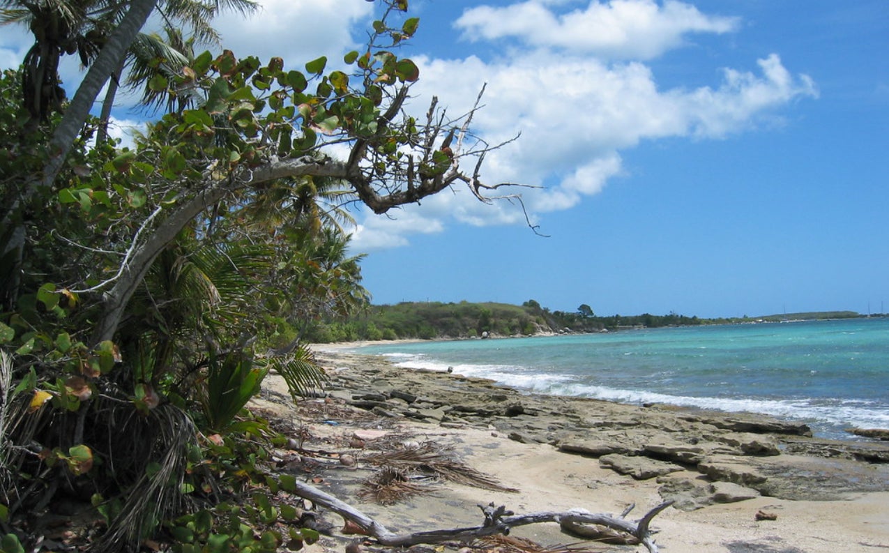 A Call to Action: Combating Climate Change in the Caribbean | Cultural ...