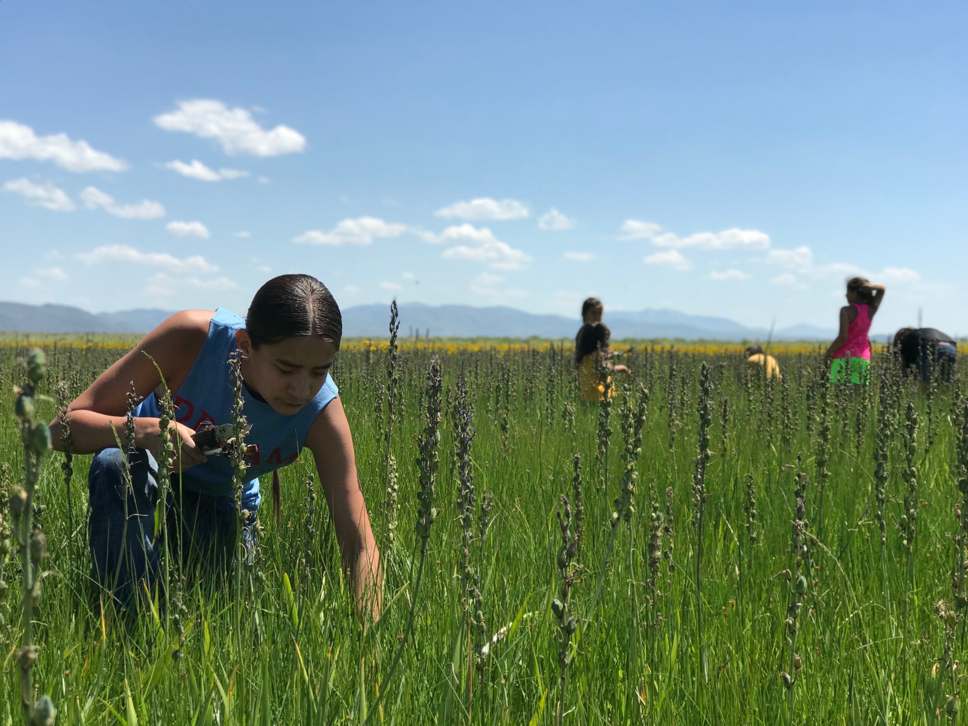 NDN Collective: Investing in Indigenous Power to Build Regenerative ...