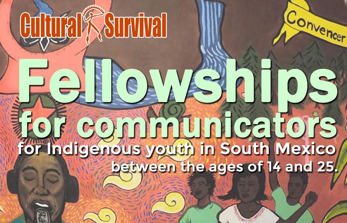CALL FOR PROPOSALS: Fellowship for Indigenous Youth Communicators in South Mexico | Cultural ...