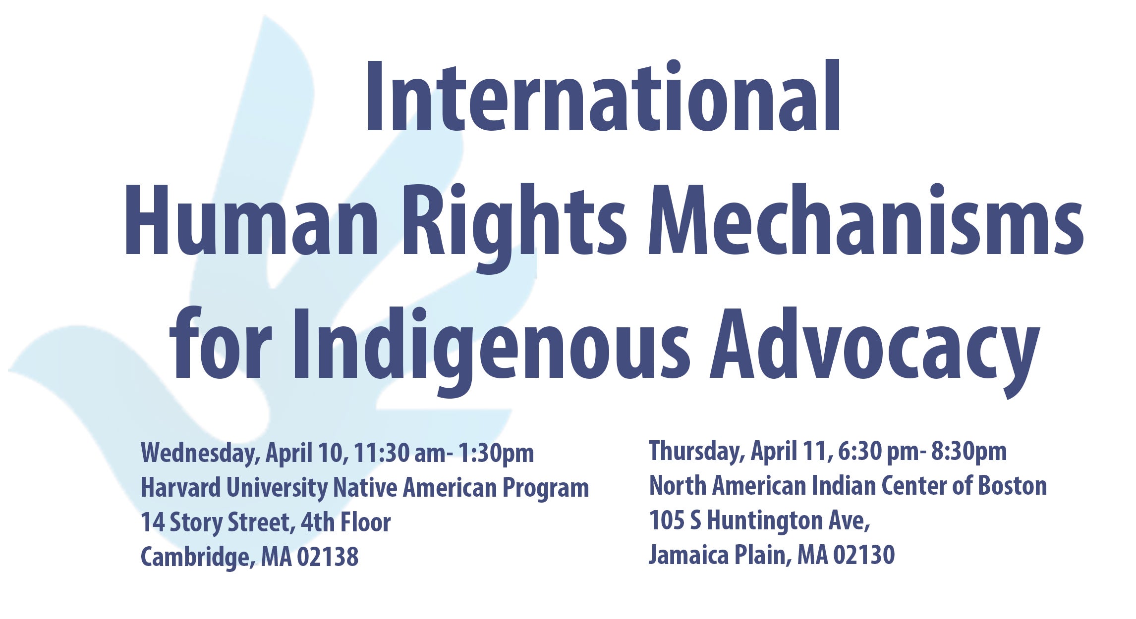 International Human Rights Mechanisms for Indigenous Advocacy ...