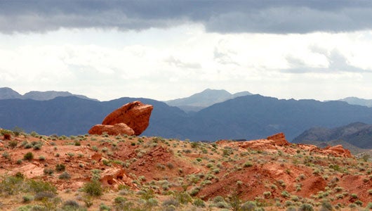 Cultural Conservation: Keeping Indigenous Languages Alive | Cultural ...