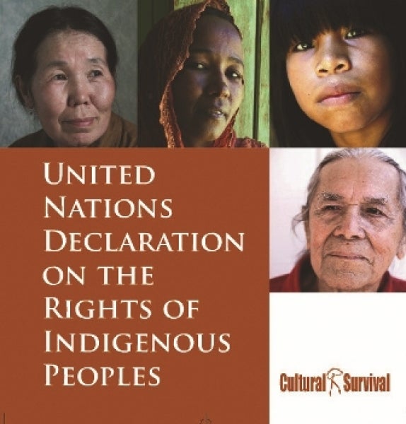 5 Years: UN Declaration on the Rights of Indigenous Peoples | Cultural ...