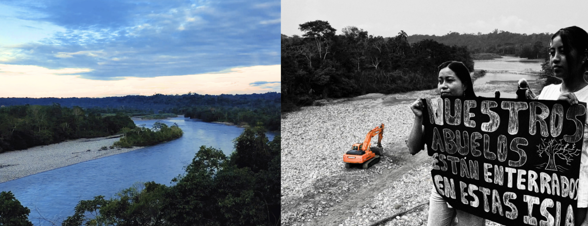 Rainforests and Resistance: Indigenous Leadership in the Fight to Save ...