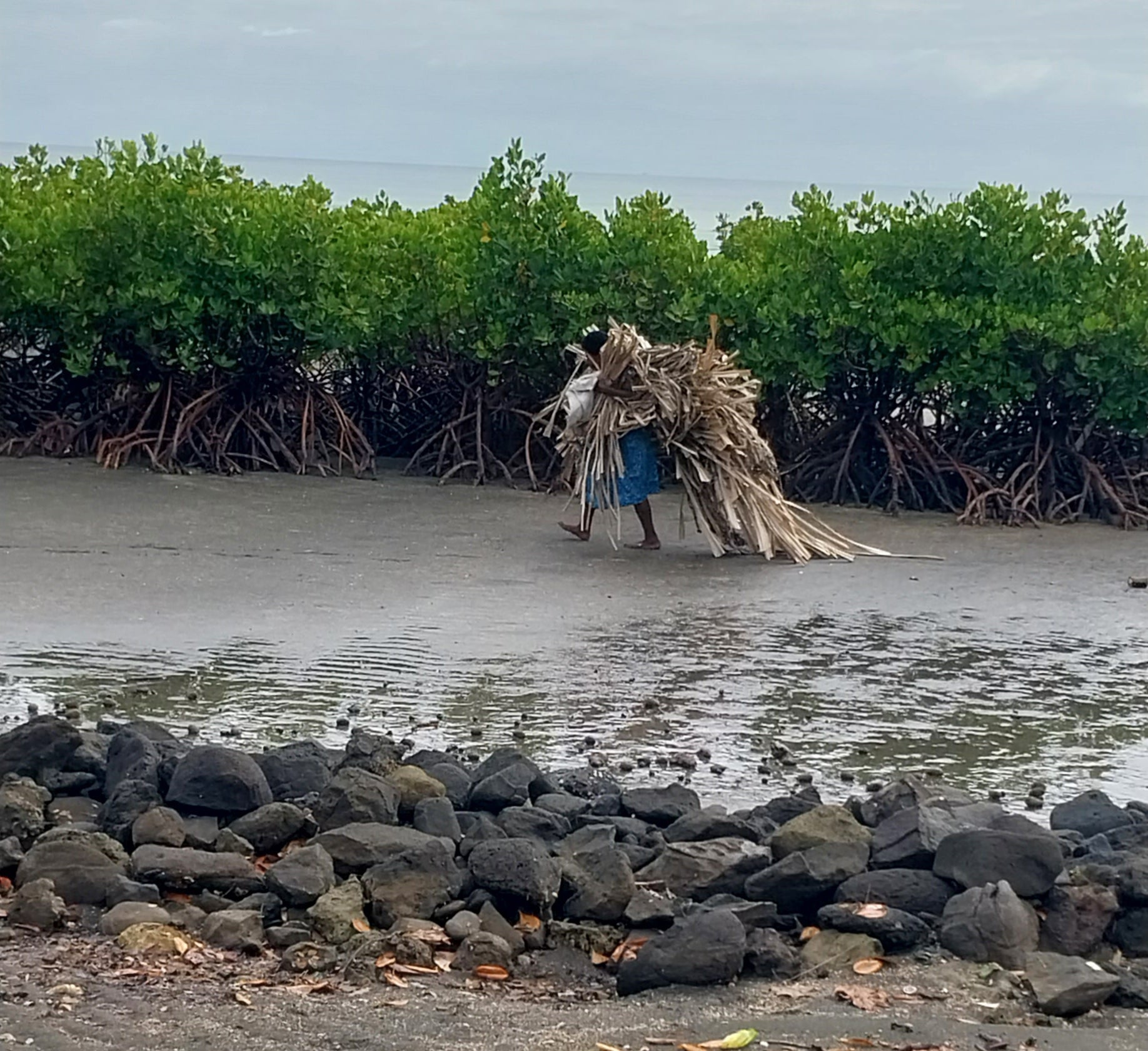 Conservation Is at the Heart of Traditional Knowledge in Fiji ...
