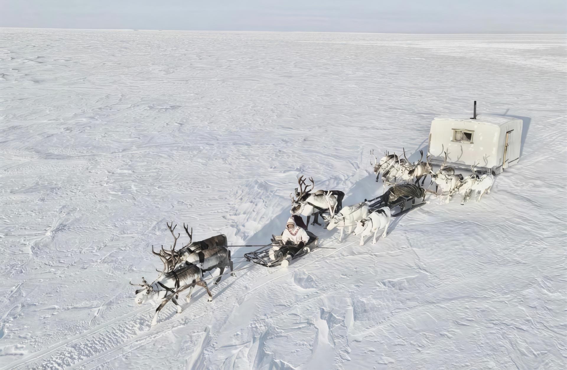 Dolgan Activist Addresses Colonization of Her Peoples in Debut Novel ...