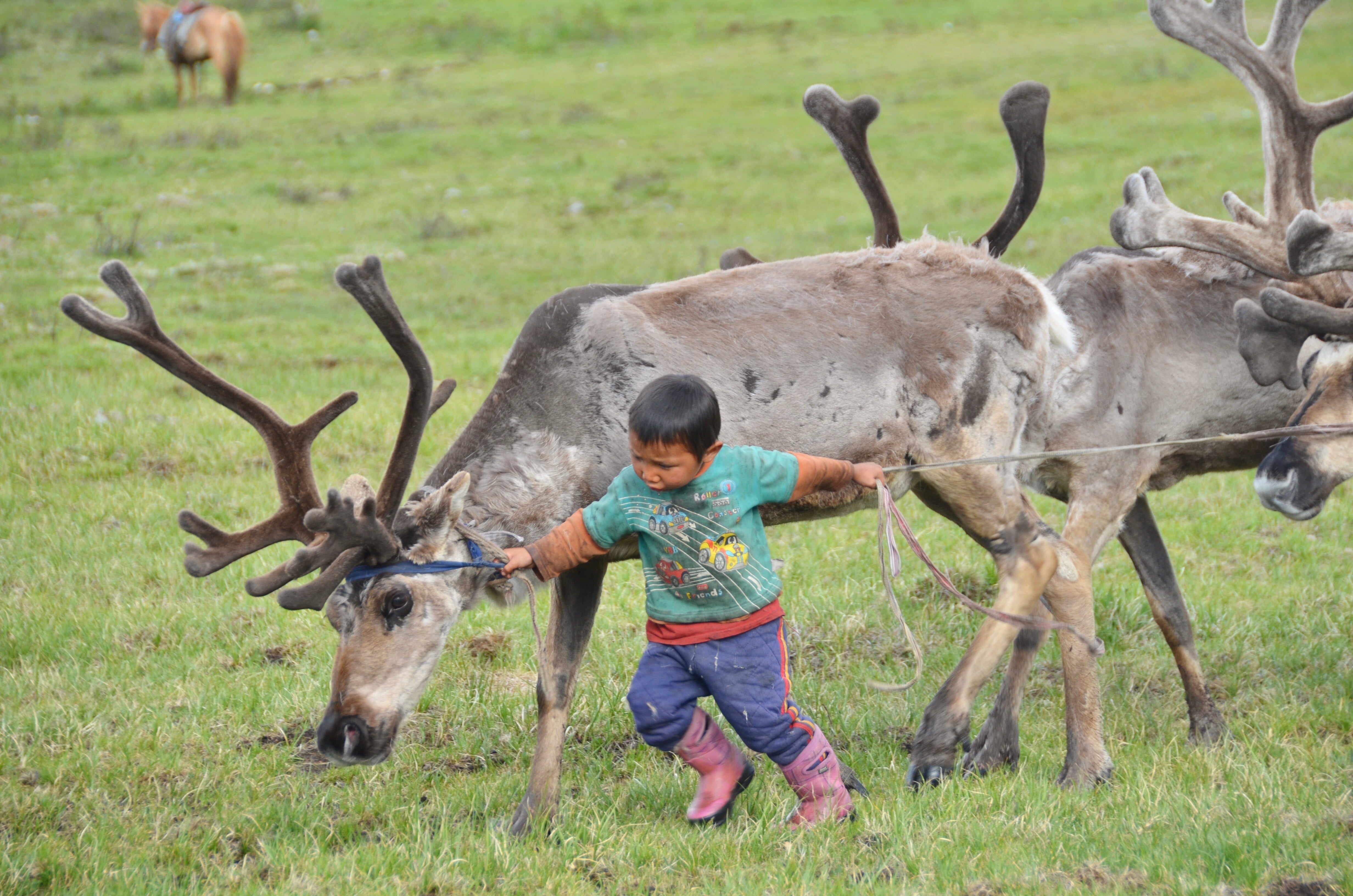 Requiem, Repression, or Recovery for the South Siberian Border Peoples ...