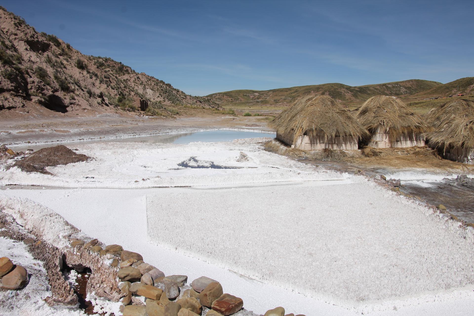 Following the Lines Between the Mines: Indigenous Communities and Land ...