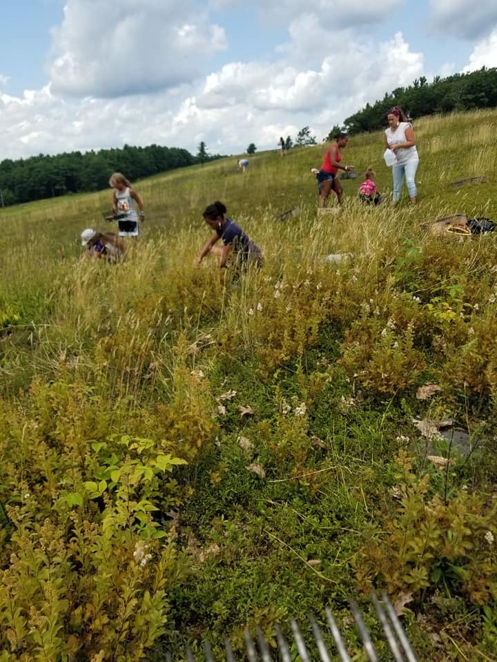 Restoring Balance with the Earth: Eastern Woodlands Rematriation ...