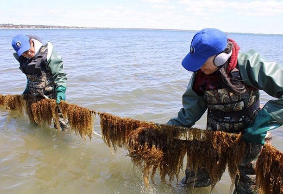 Indigenous Knowledge for Climate Change Mitigation | Cultural Survival