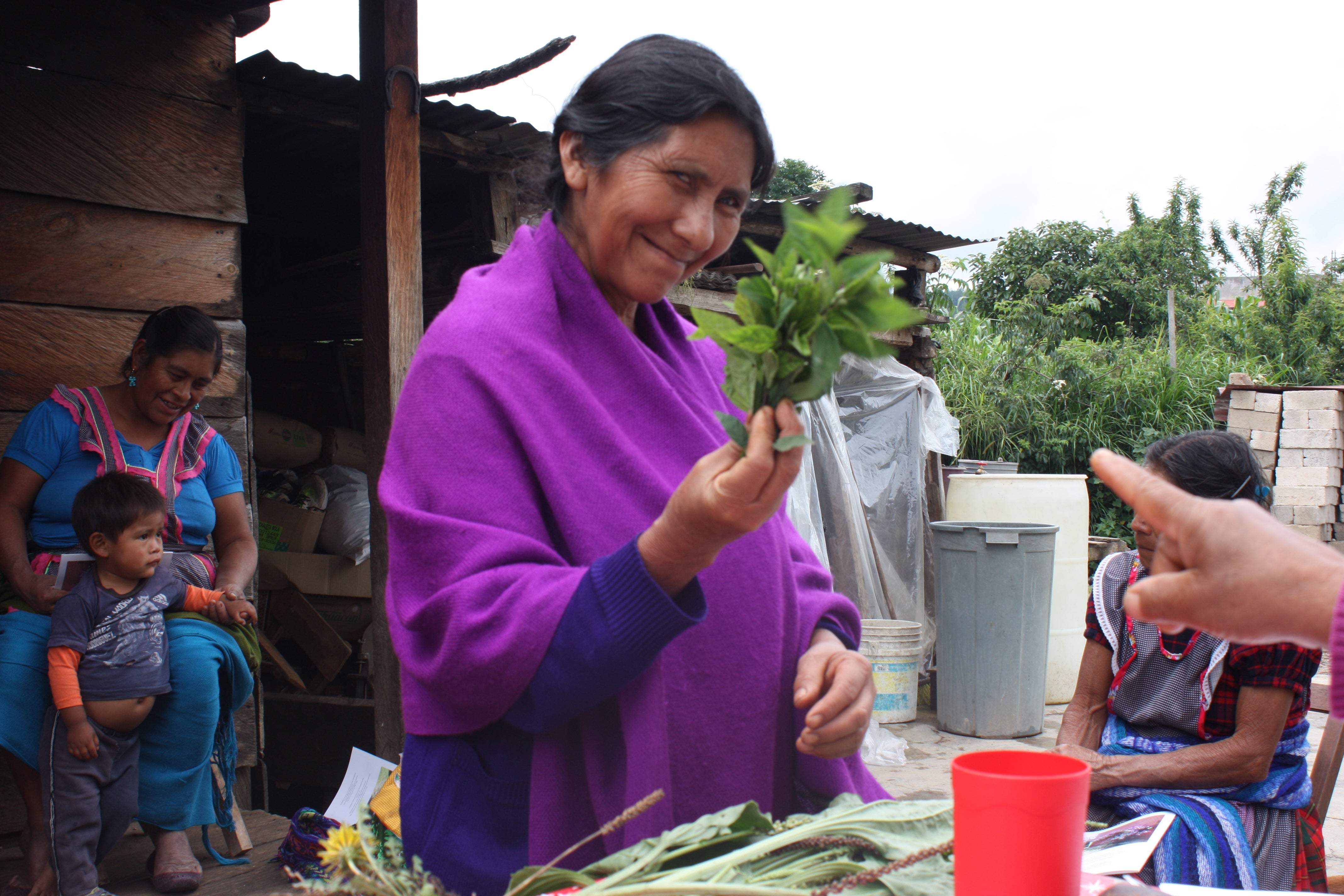 Parteras mayas tradicionales cuidando la salud de las mujeres ...