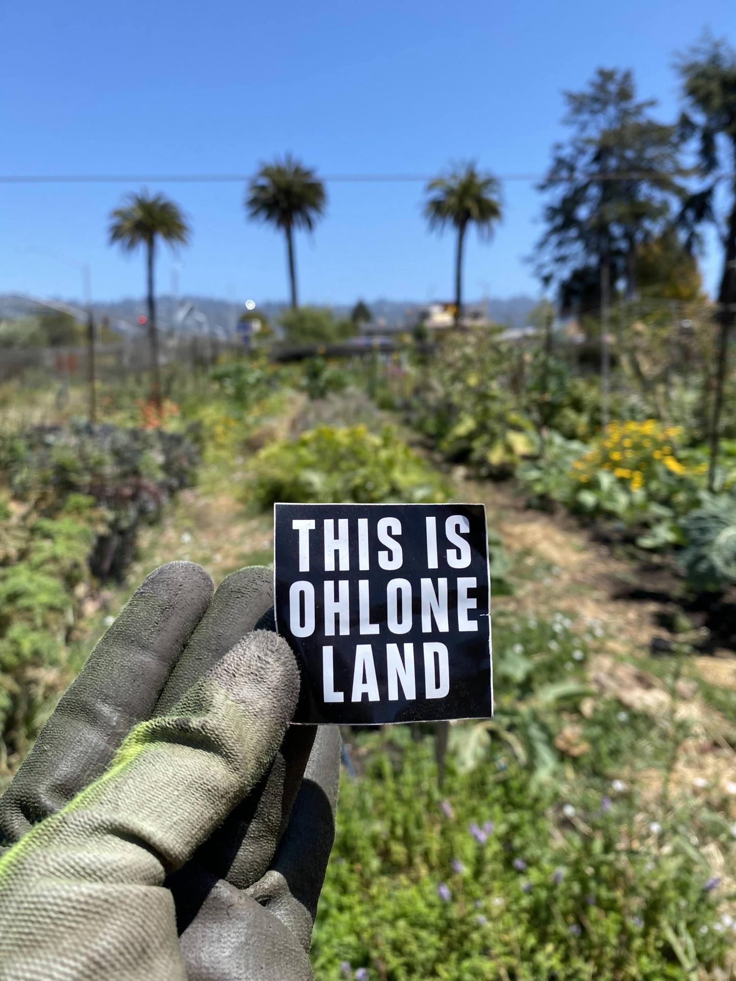 Restoring Relationships with Lands and Returning Stewardship to ...