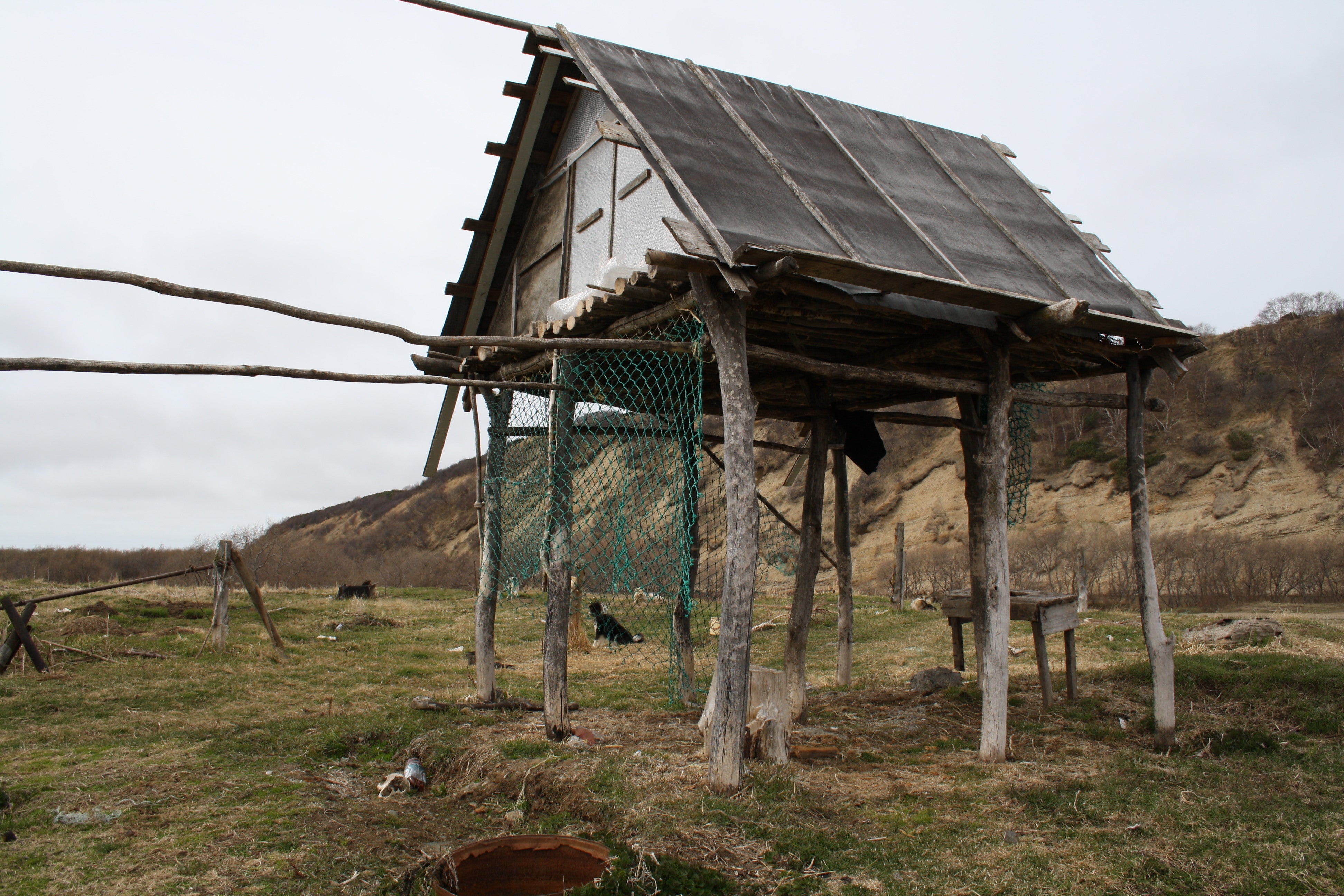 Our Itelmen Language Cannot Be Separated From Our Land | Cultural Survival