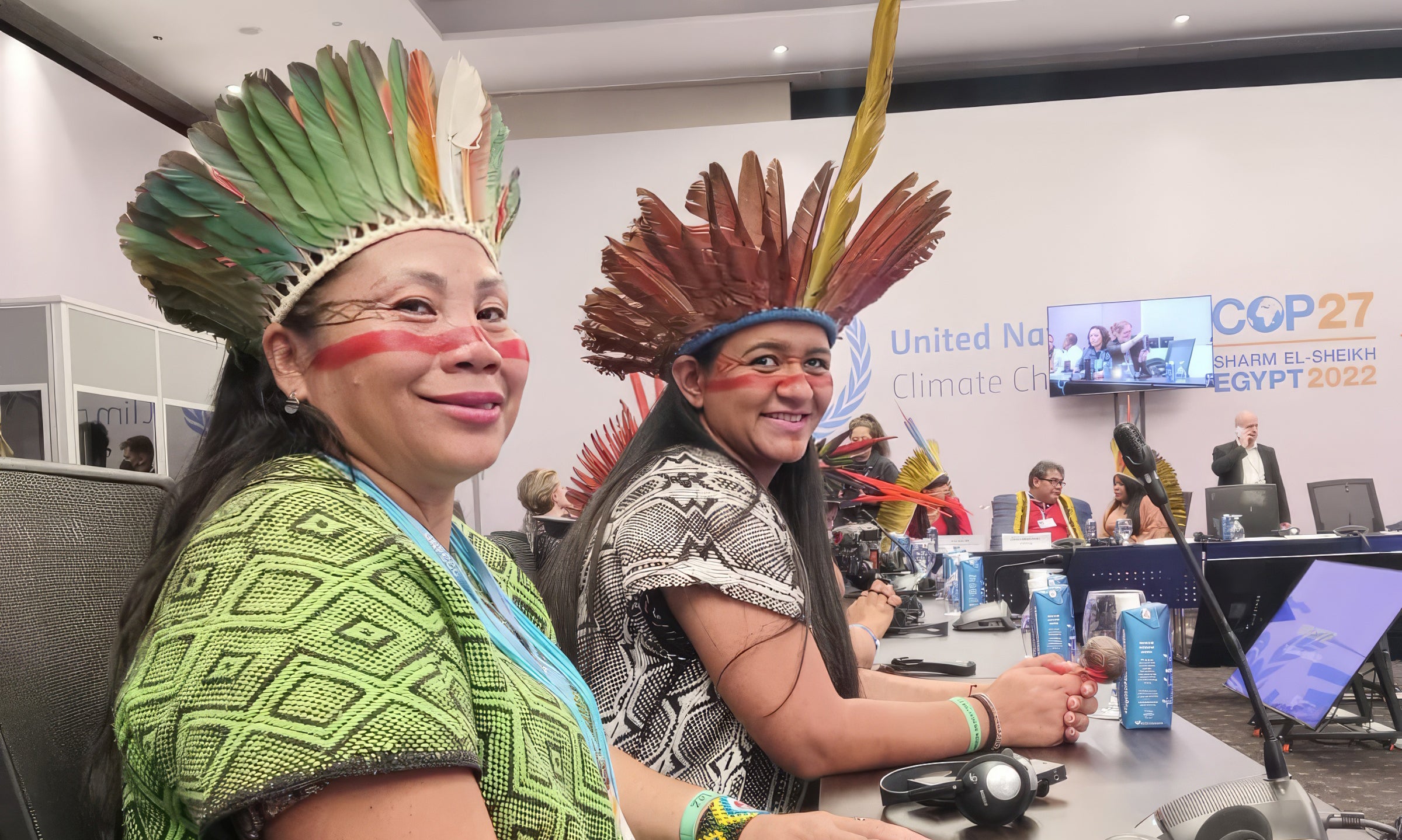 Despite Historic Participation Indigenous Peoples Are Again Sidelined ...