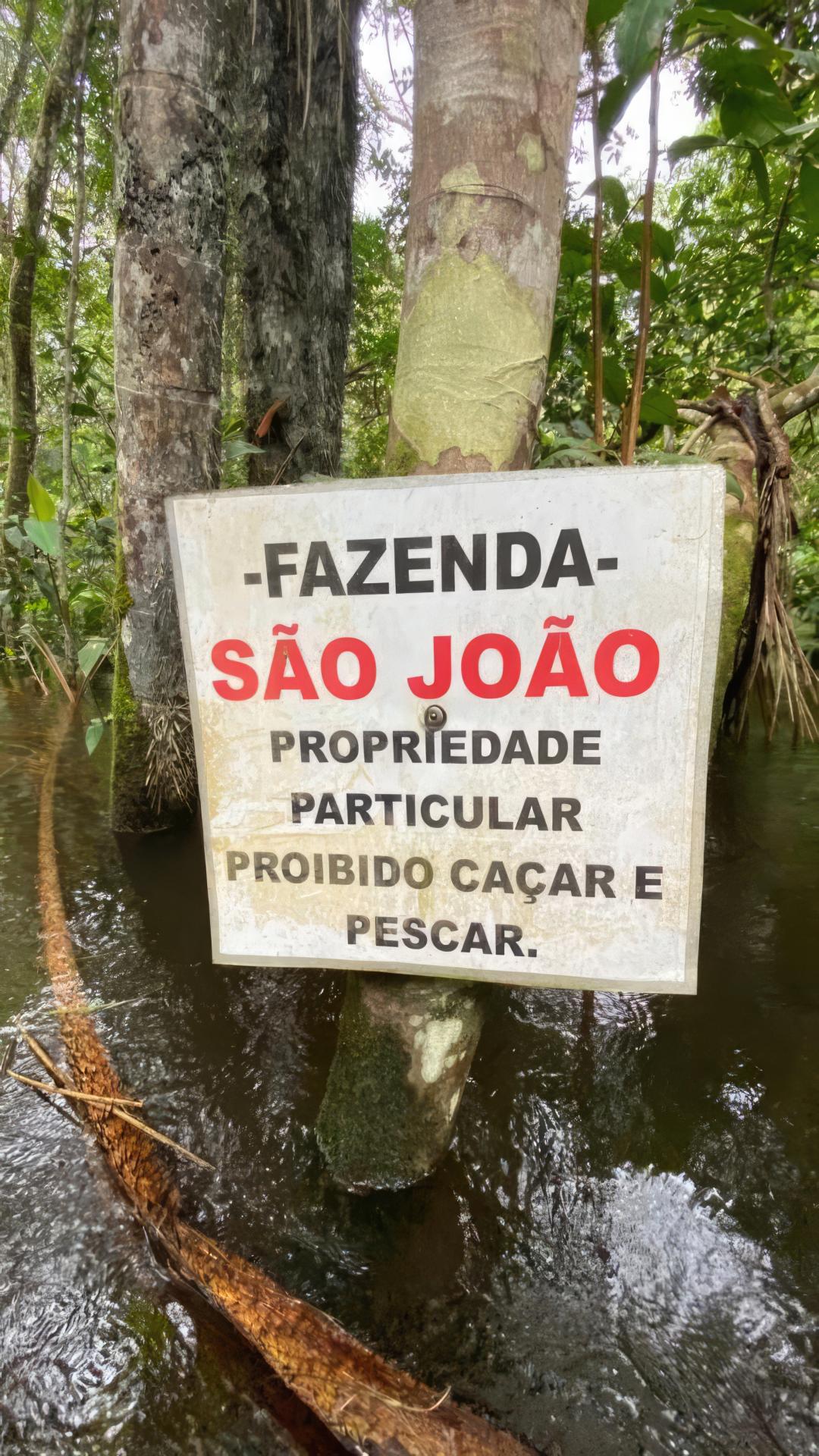 In Defense of Our Land and Sacred Rivers: Joint Actions by Mura Peoples ...