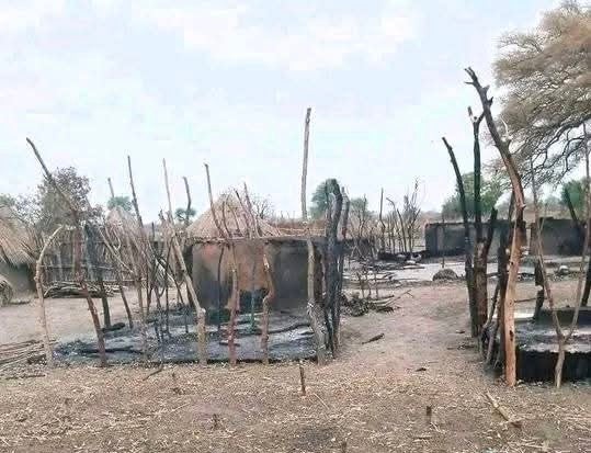 “We Belong to This Land:” The Anywaa Peoples’ Fight for Survival ...