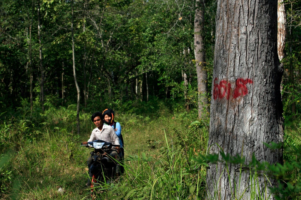 Campaign Update - Kuy villagers step up activism to save Prey Lang ...