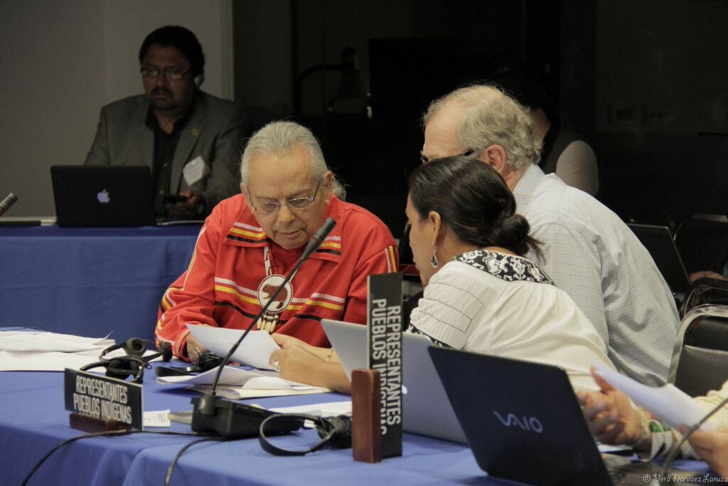 Indigenous Caucus Withdraws from Negotiations on the Draft American ...