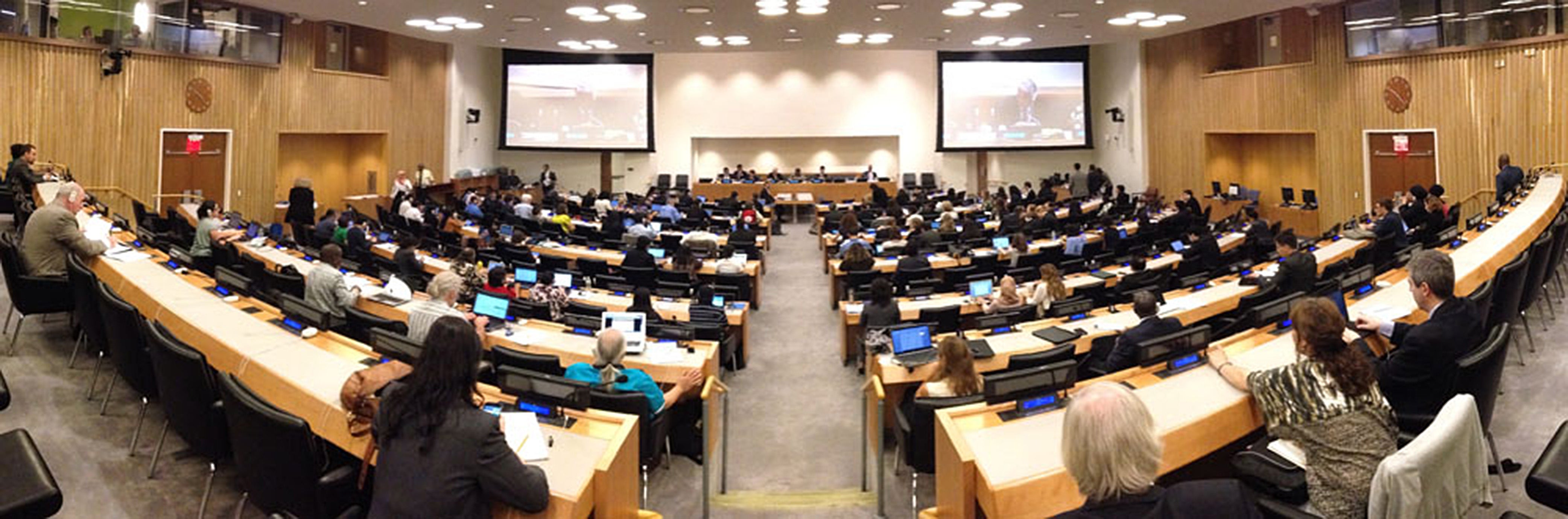 The UN World Conference on Indigenous Peoples: A high-level meeting ...