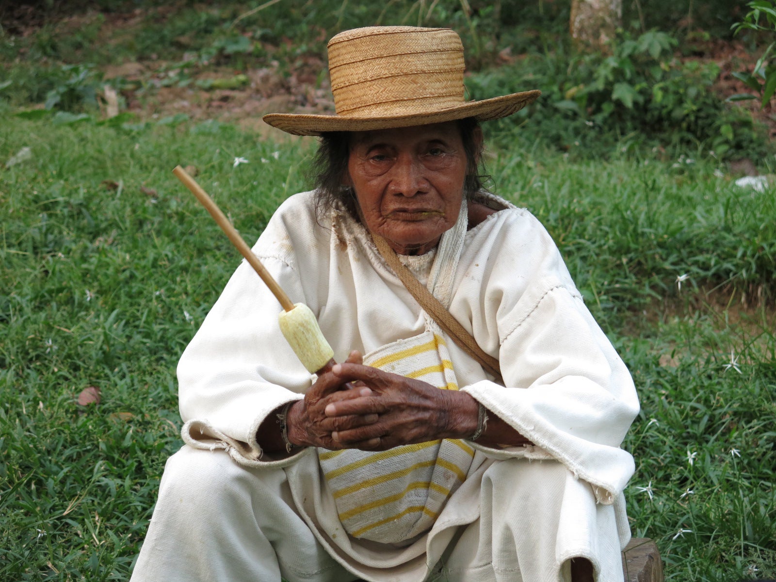 The Kogi: An Urgent Call from Guardians of the Heart of the World ...