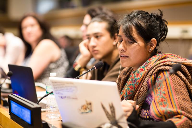 United Nations Experts Demand More Be Done to Protect and Revitalize ...