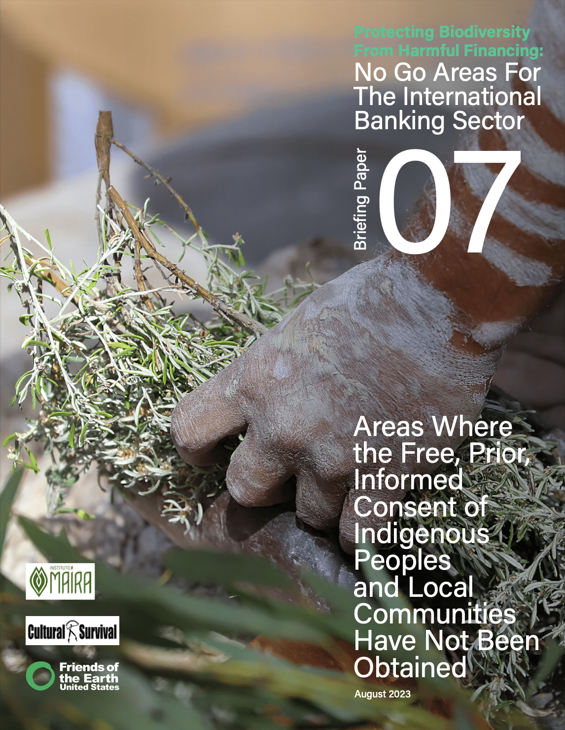 Areas Where the Free, Prior & Informed Consent of Indigenous Peoples ...