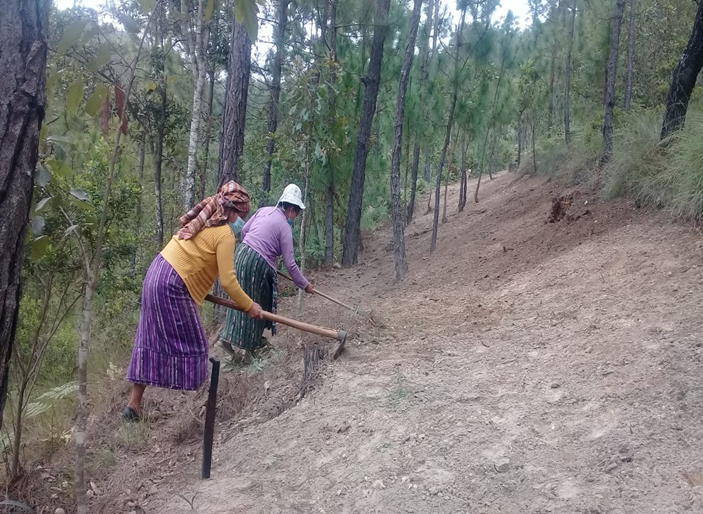 Maya K’iche’ of San Pedro Jocopilas Mitigate Climate Change Through ...