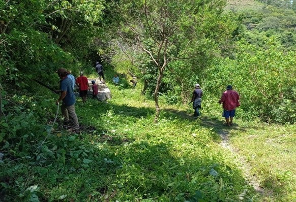 Cultural Survival and Partners Bring Indigenous Rights Violations in ...