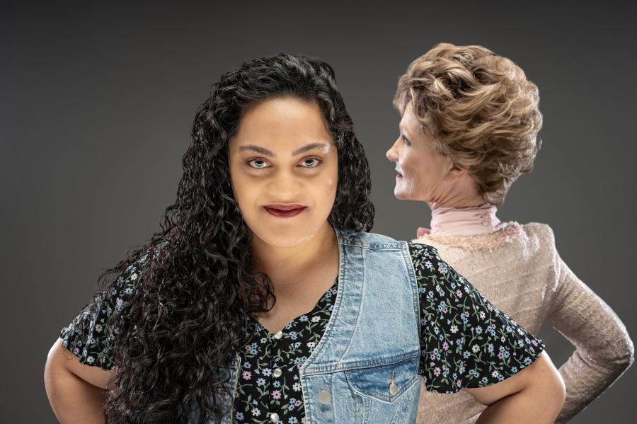 Native American Languages Act: Twenty Years Later, Has It Made a ...