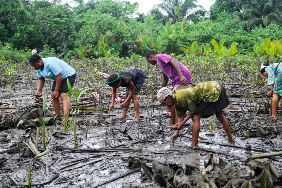 The Lack of Social Justice for Indigenous Peoples | Cultural Survival