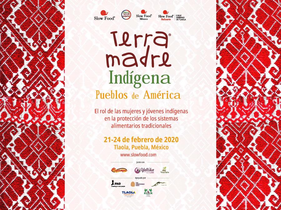 Protecting Indigenous Intellectual Property Rights: Tools That Work ...