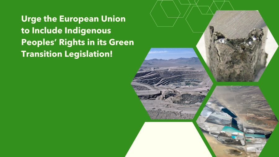 After 30 Years, Only 23 Countries Have Ratified Indigenous and Tribal ...