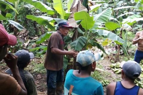 Our Response to COVID-19 | Cultural Survival