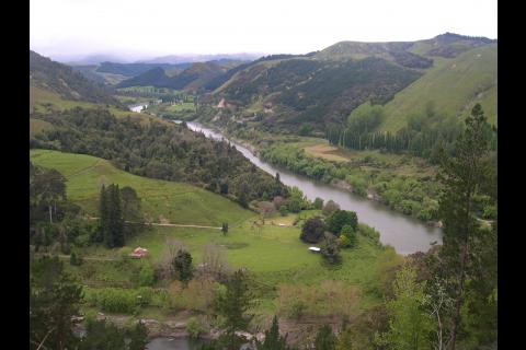 New Zealand (Aotearoa) | Cultural Survival