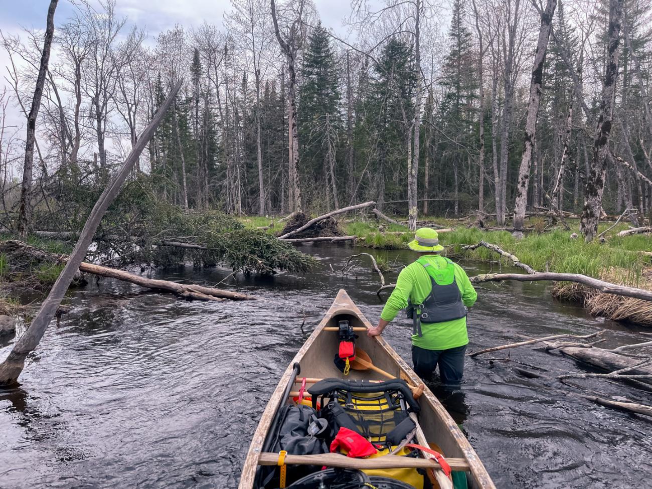 Acknowledging the Cultural Intelligence of Canoe People | Cultural Survival