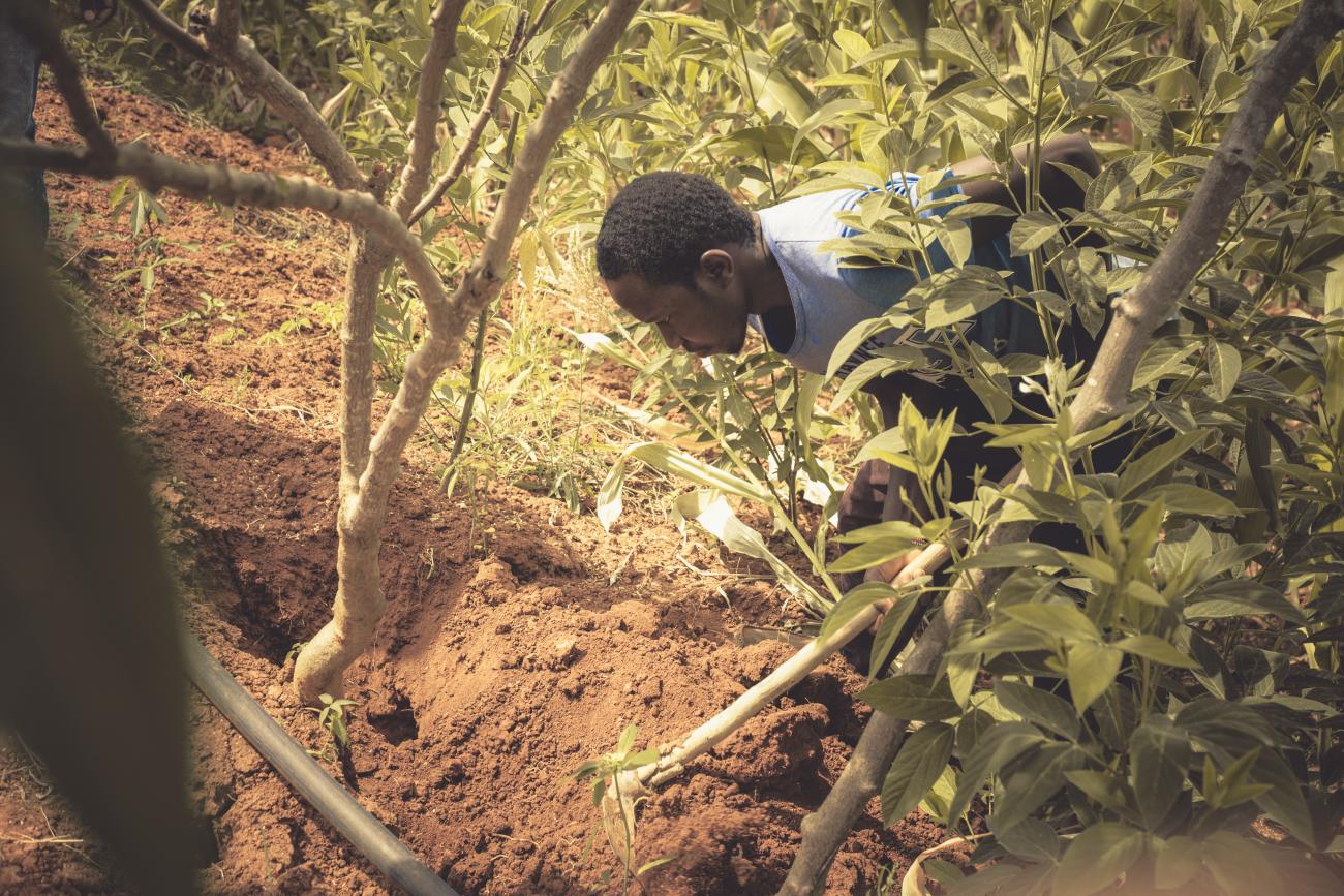 What Are Our Youth Fellows Up To? | Cultural Survival