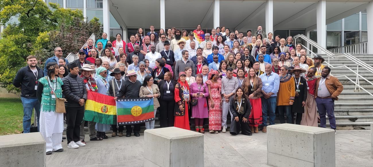 Indigenous Peoples Define the Just Transition and Provide Principles ...