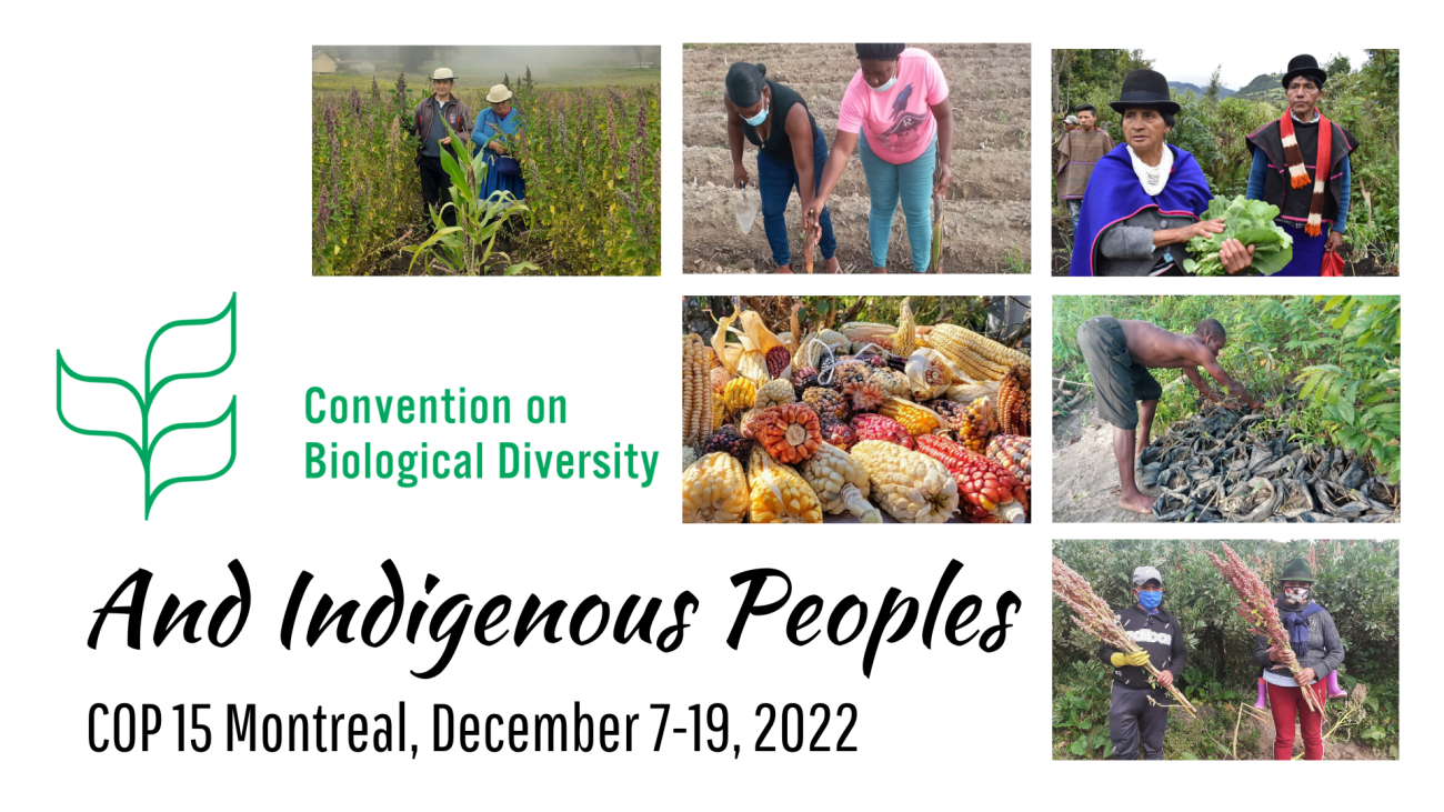 Securing Indigenous Peoples' Rights and Protecting Biodiversity at ...