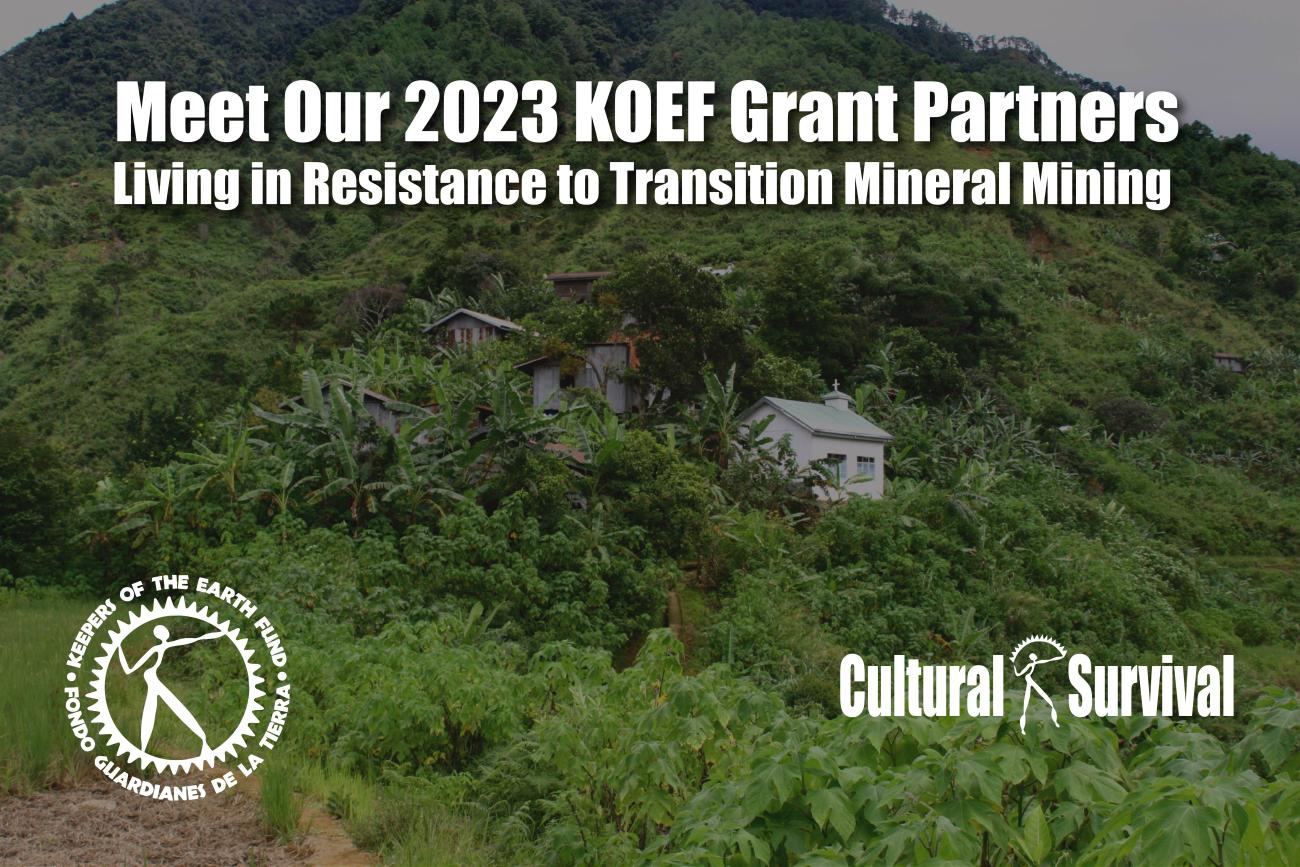 Meet Our 2023 KOEF Grant Partners Living in Resistance to Transition ...